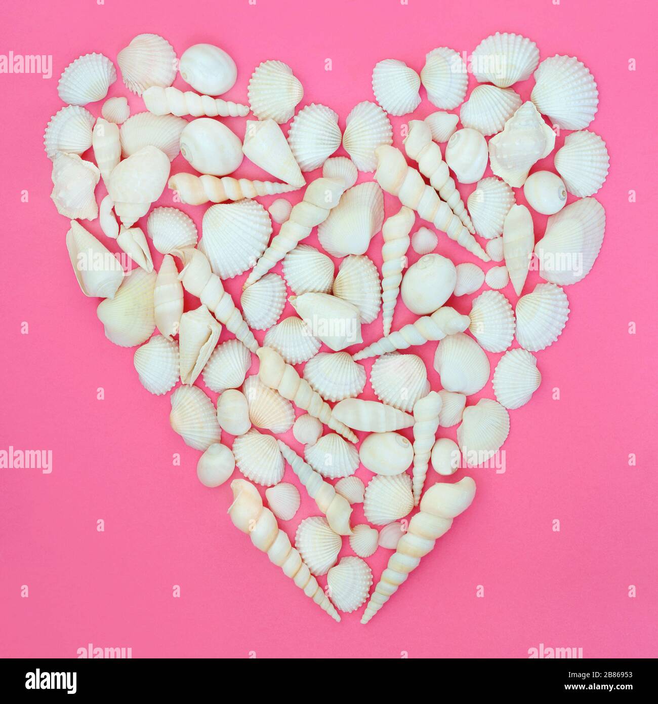 Seashell heart with a variety of white shells on pastel pink background ...