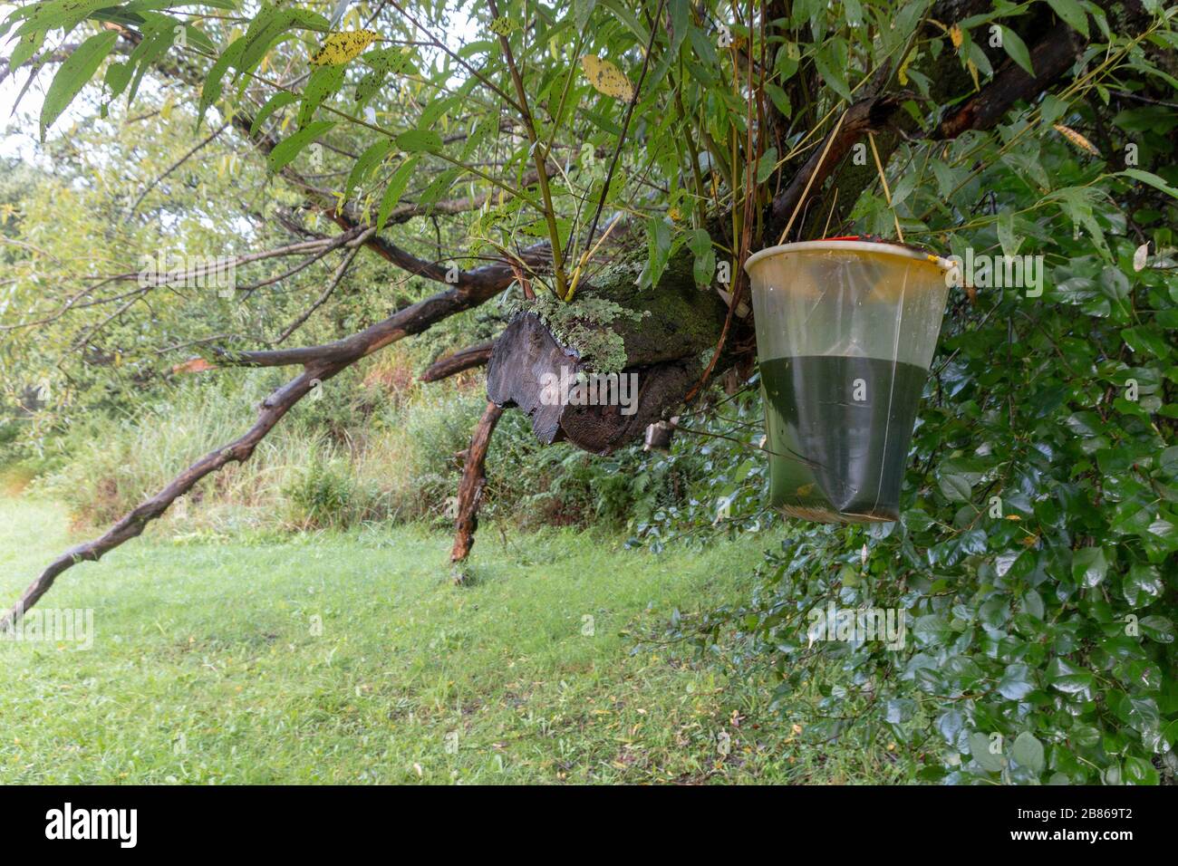 Fly up close hi-res stock photography and images - Alamy