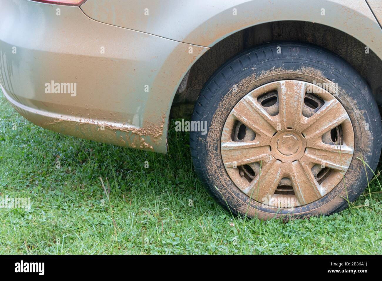 Side view of grass hi-res stock photography and images - Alamy