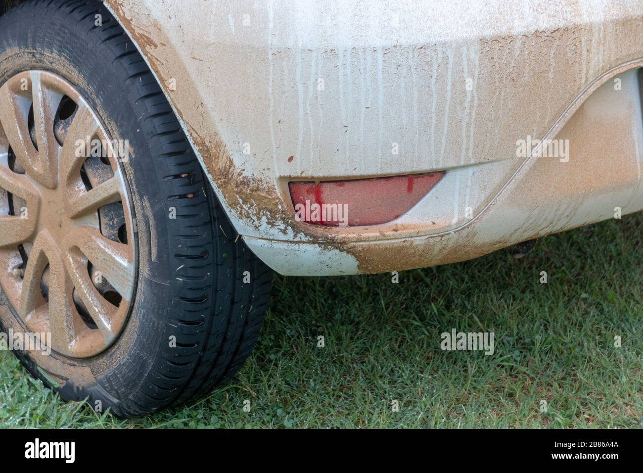 Grass covered car hi-res stock photography and images - Alamy