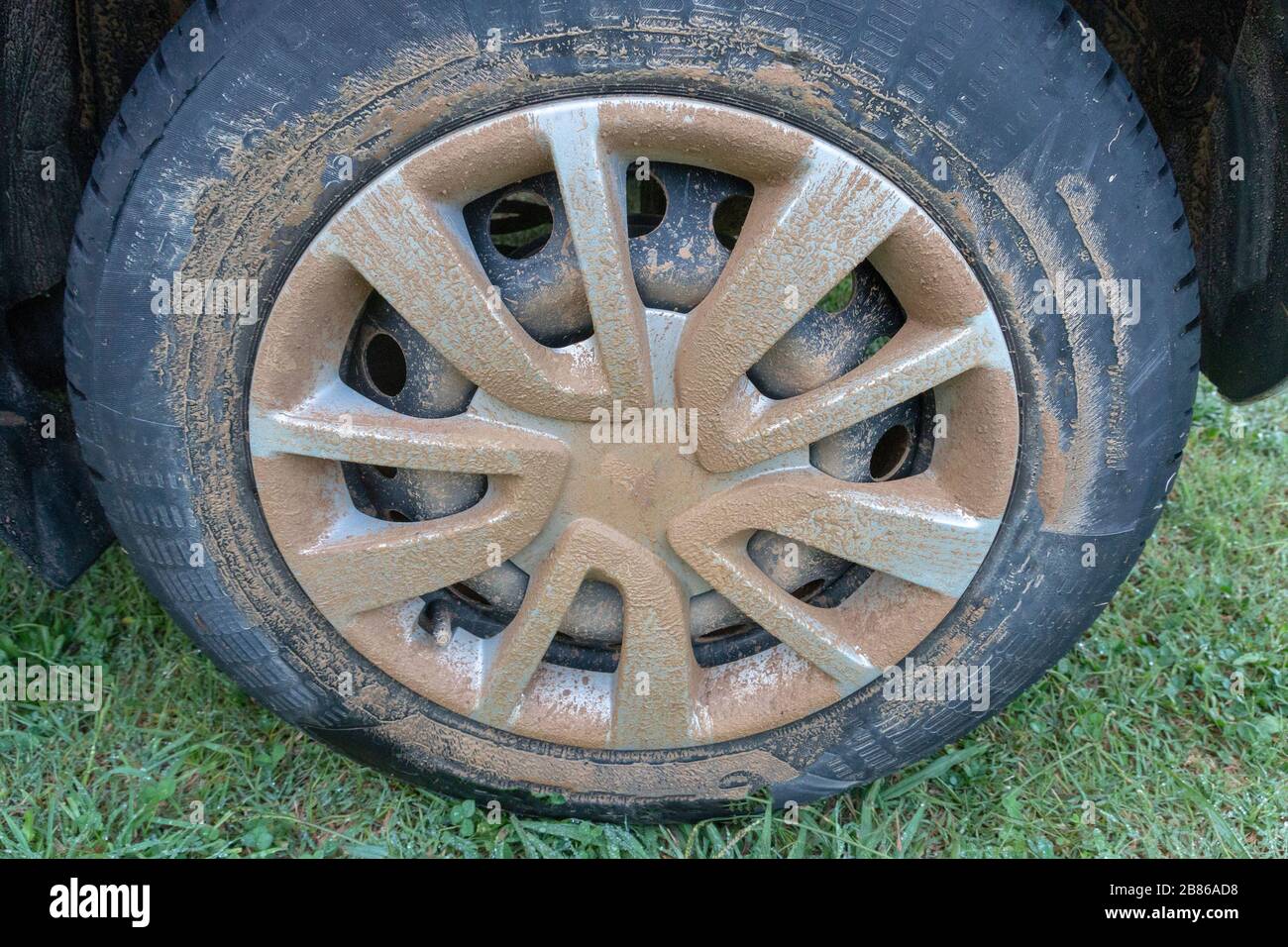 Side view of grass hi-res stock photography and images - Alamy