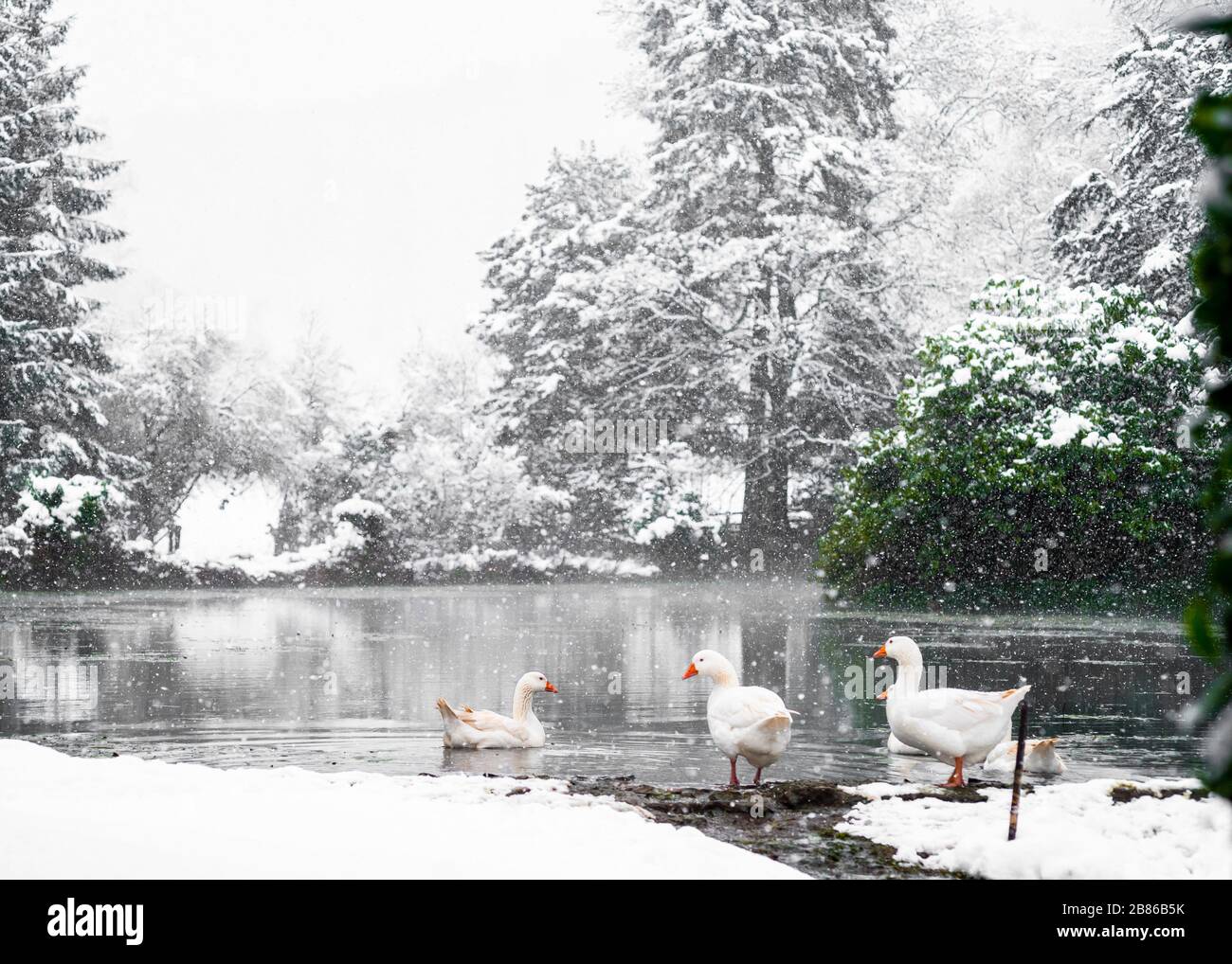 Rickford Church, Rickford, Somerset Stock Photo - Alamy