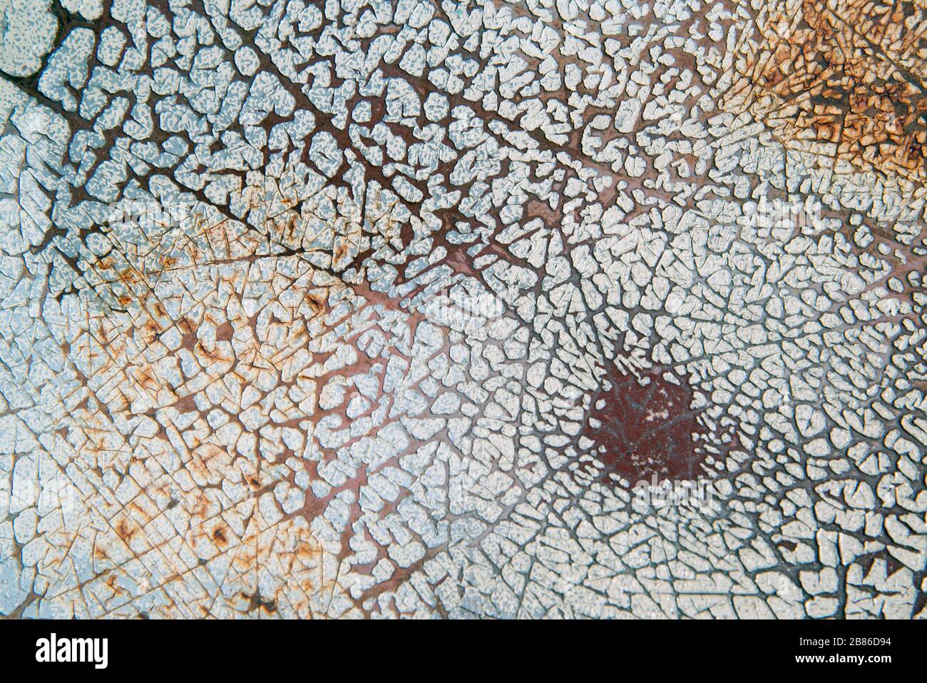 Rusty metal white painted background with streaks of rust. Rust stains ...