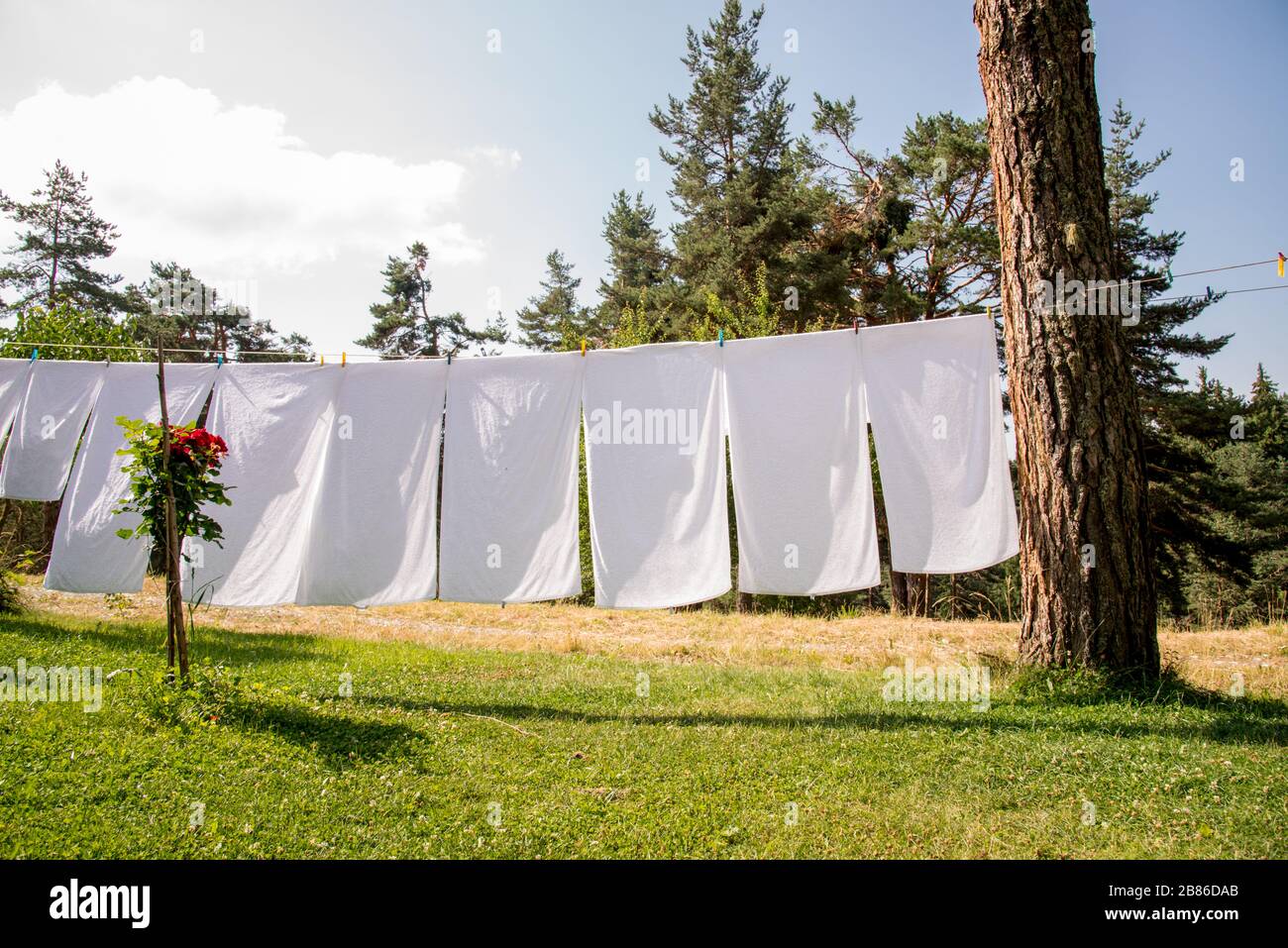 fresh clean white towels drying on washing line in outdoor Stock Photo ...