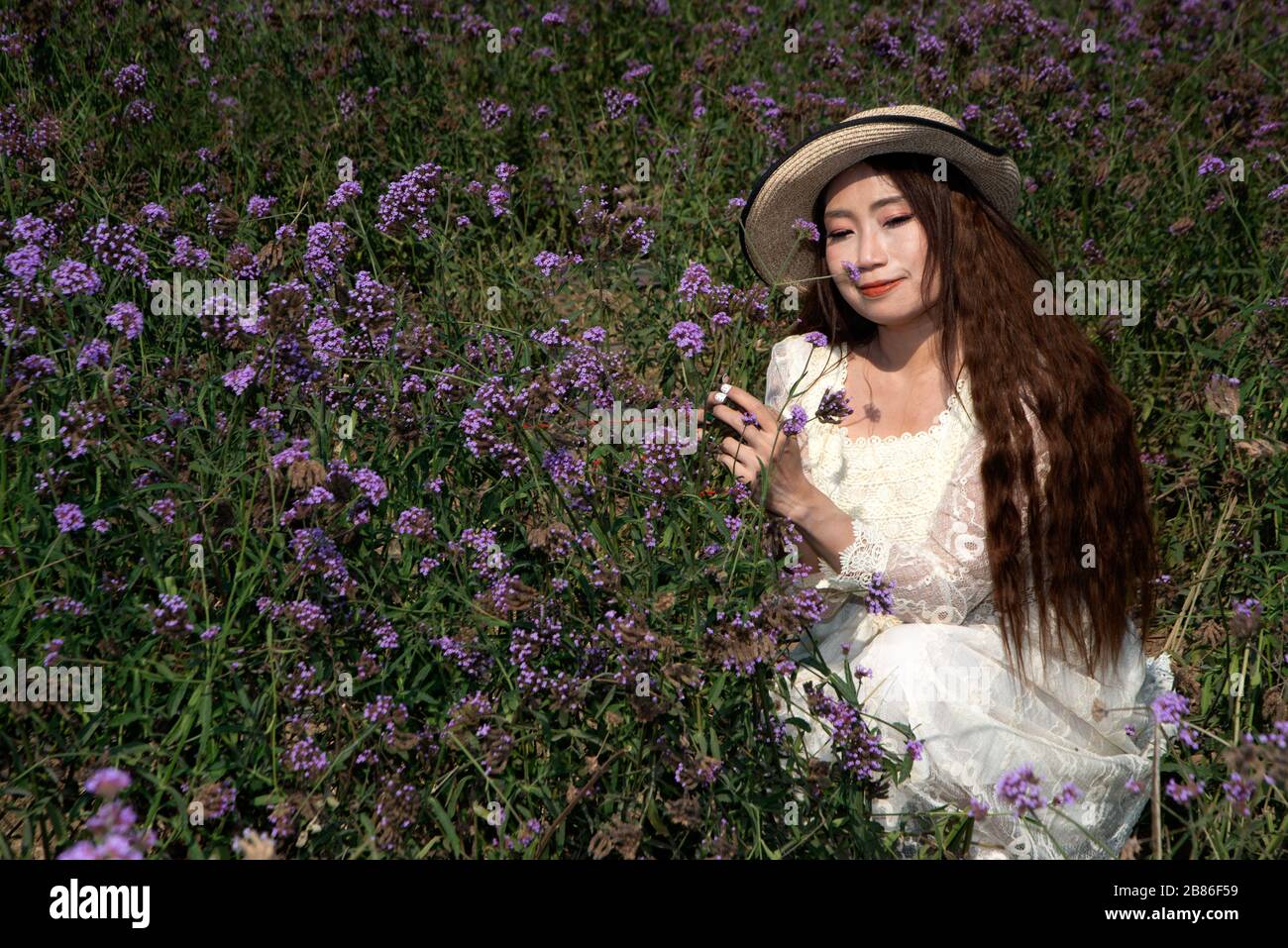 Asian pretty woman sitting in a verbina bonariensis flower garden and ...