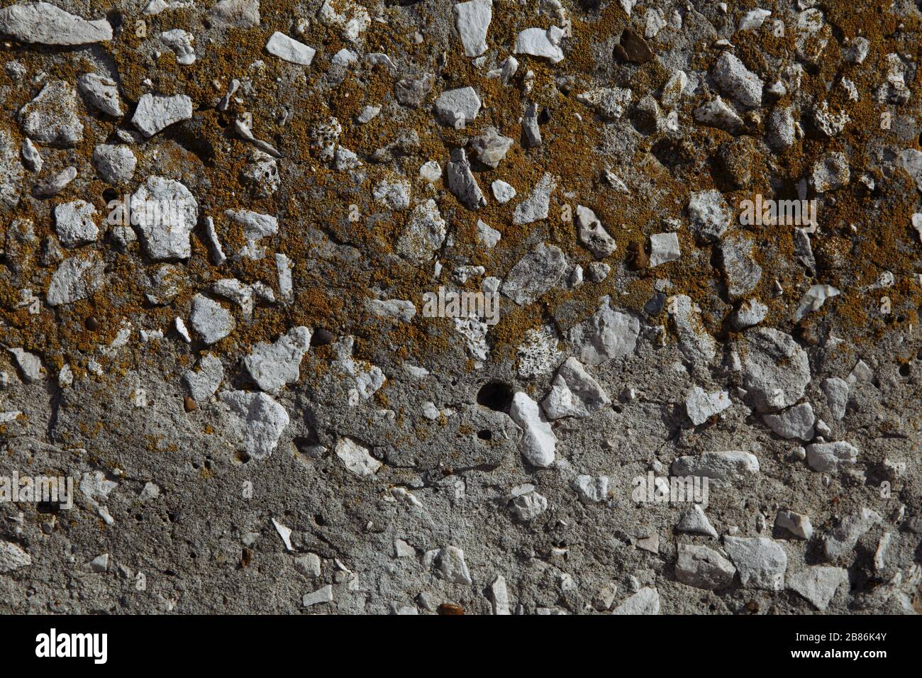 Gray concrete with inserts of white granite stones and stone stones ...