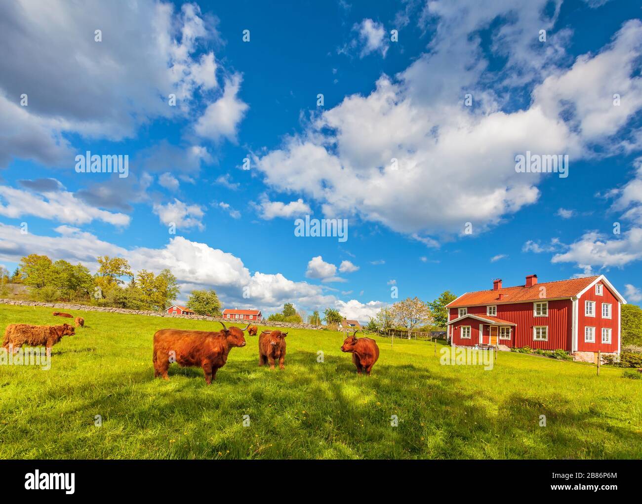 Traditional swedish farm house hi-res stock photography and images - Alamy