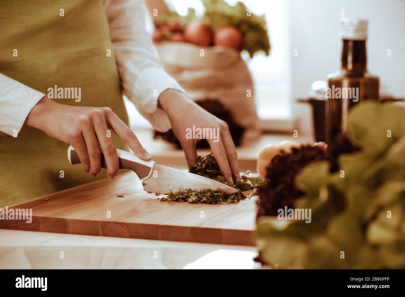 Unknown human hands cooking in kitchen. Woman is busy with vegetable ...