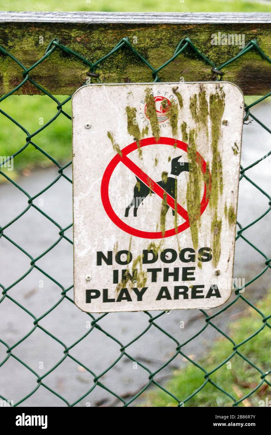 No Entry For Dogs Sign High Resolution Stock Photography and Images - Alamy