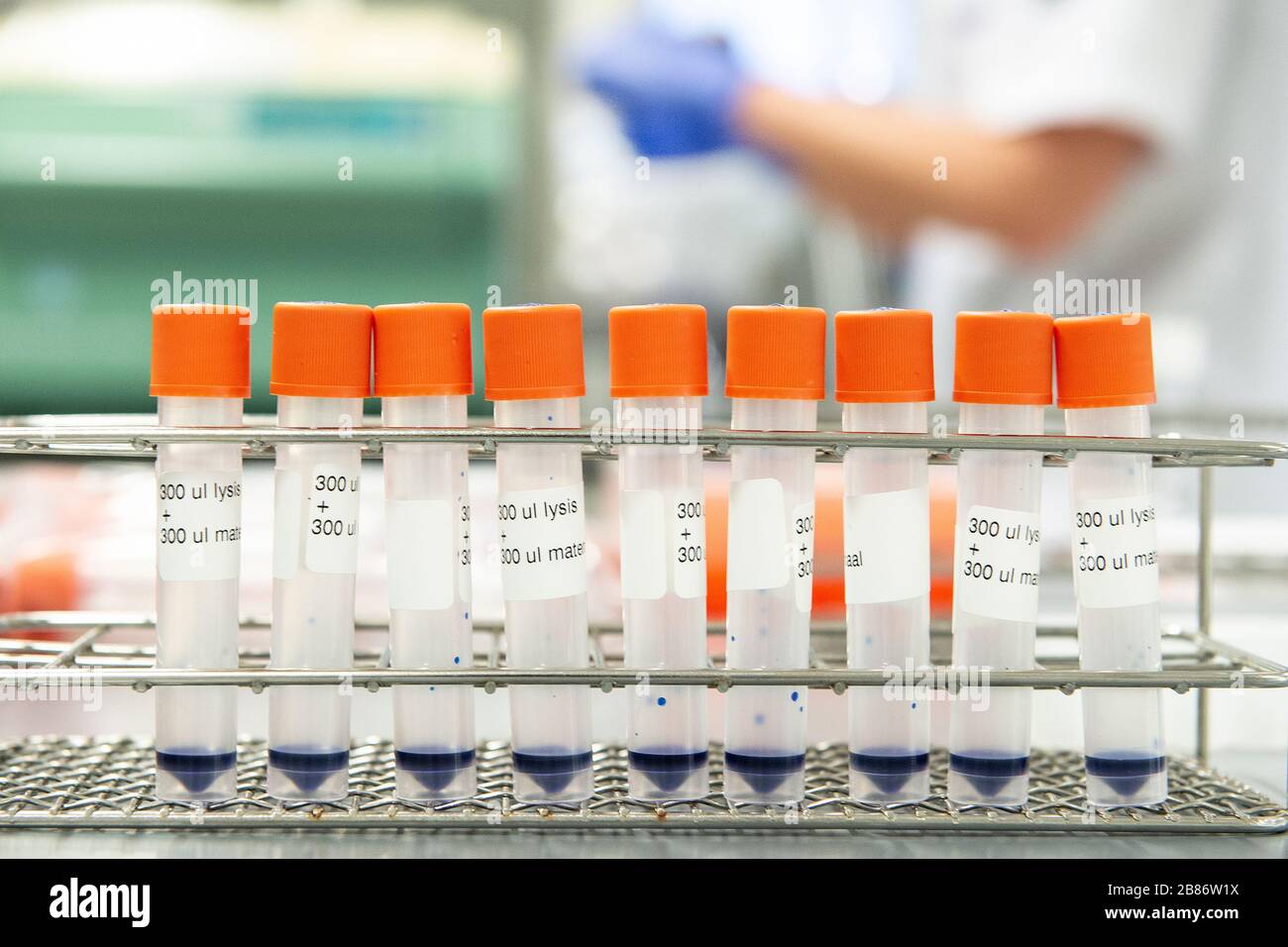 Etz elisabeth hi-res stock photography and images - Alamy