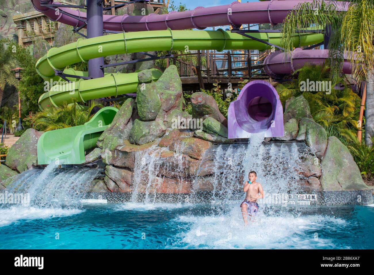Orlando, Florida. March 10, 2020. People enjoying Ohno of Ohyah and ...