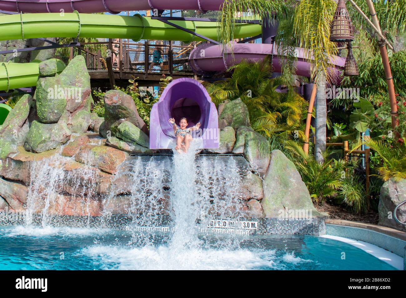 Orlando, Florida. March 10, 2020. People enjoying Ohno of Ohyah and ...