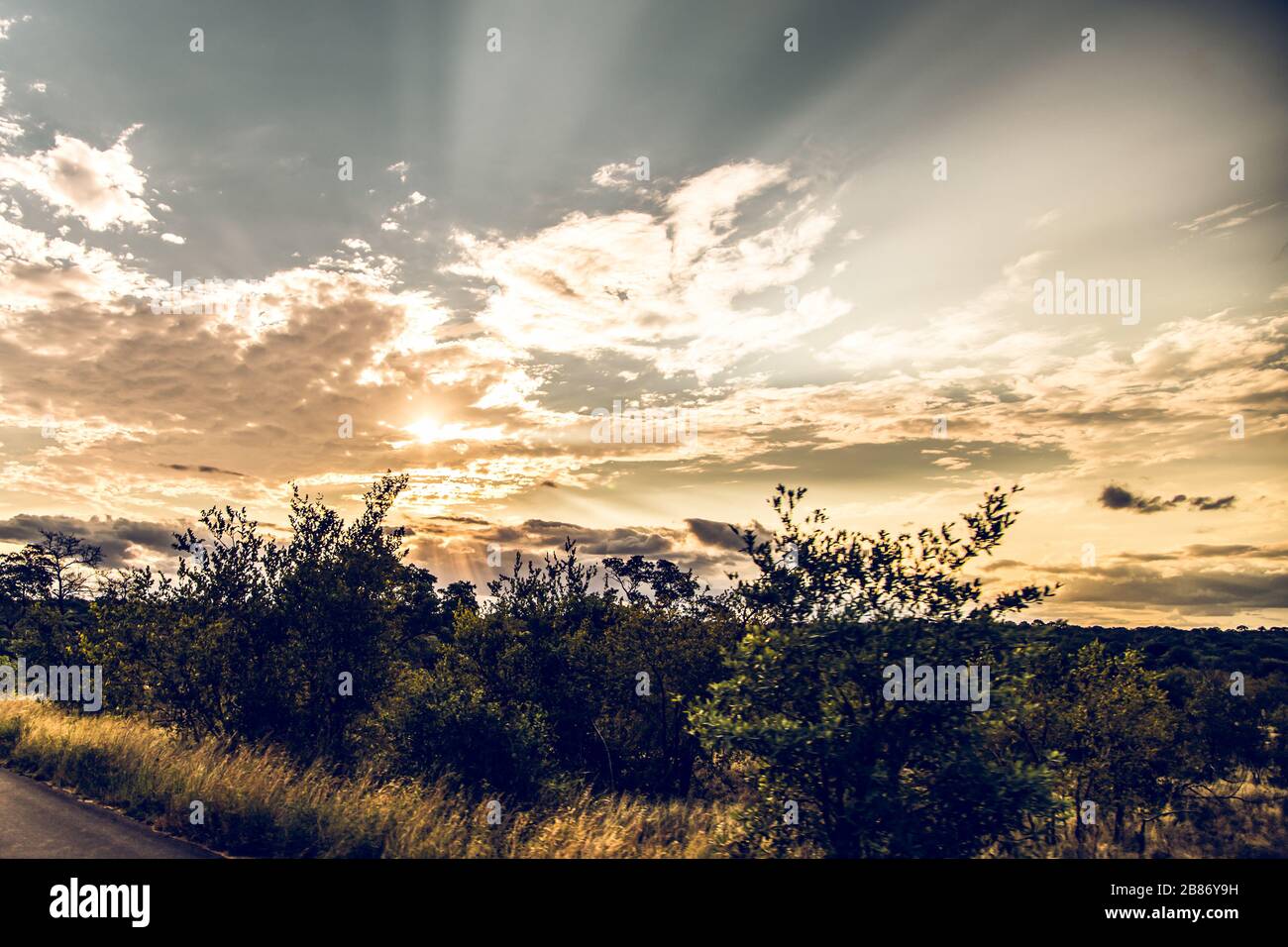 South african images hi-res stock photography and images - Alamy