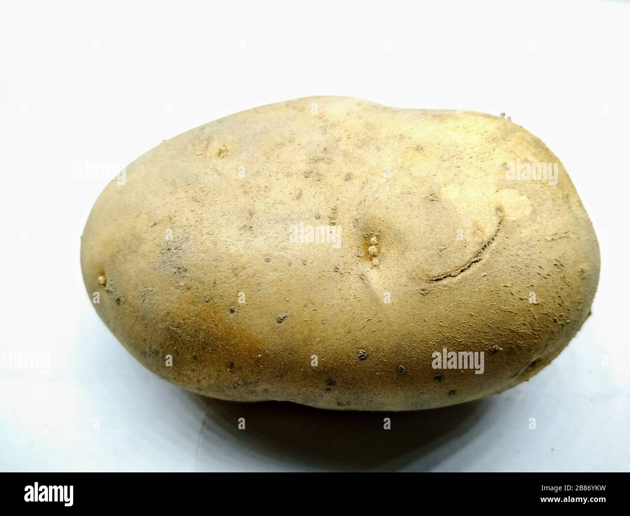 A picture of potato Stock Photo - Alamy