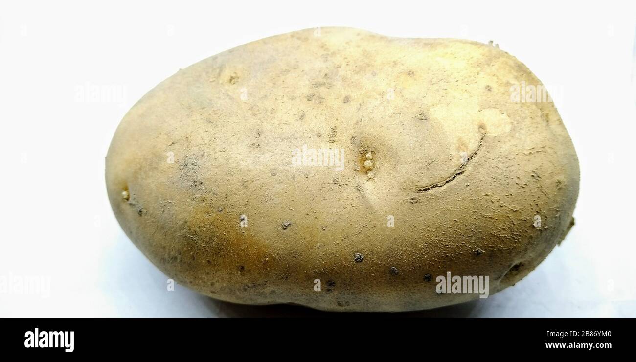 Sweet potato harvest pile hi-res stock photography and images - Alamy