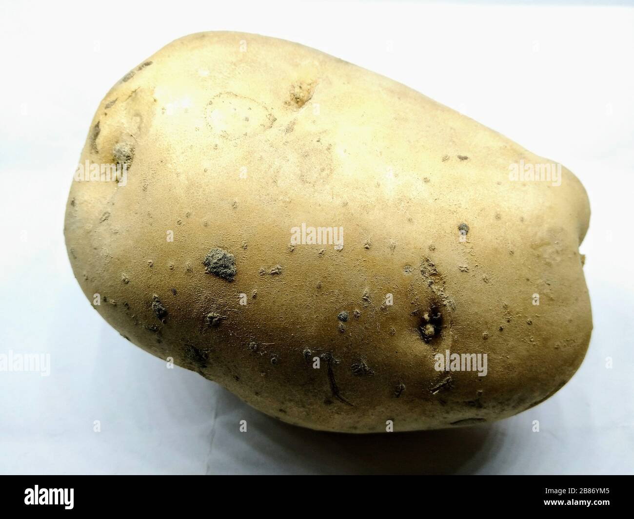 A picture of potato Stock Photo - Alamy