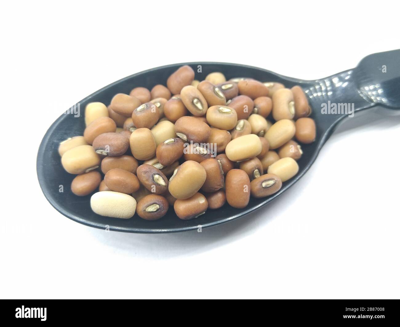 Sunlight picture Cut Out Stock Images & Pictures - Alamy