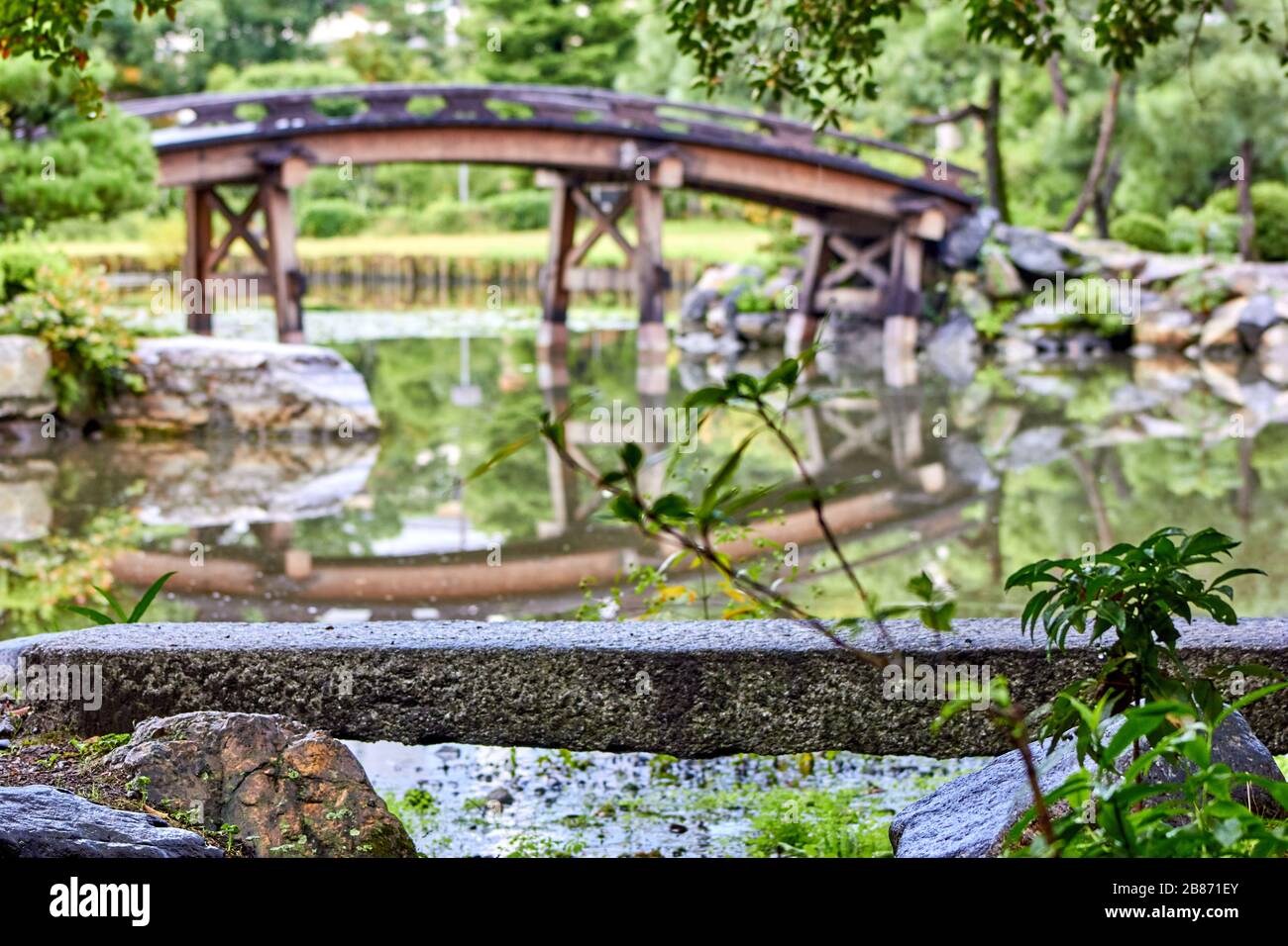 Wood bridge beautiful over hi-res stock photography and images - Alamy