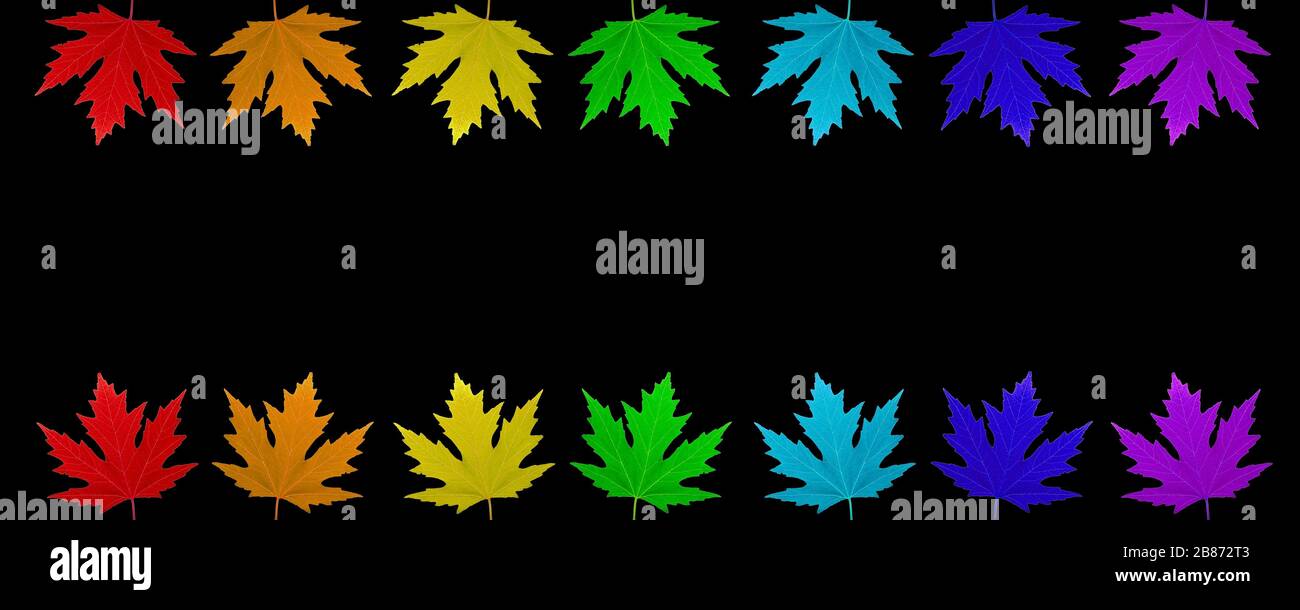 isolated leaves of rainbow colors 6 Stock Photo - Alamy