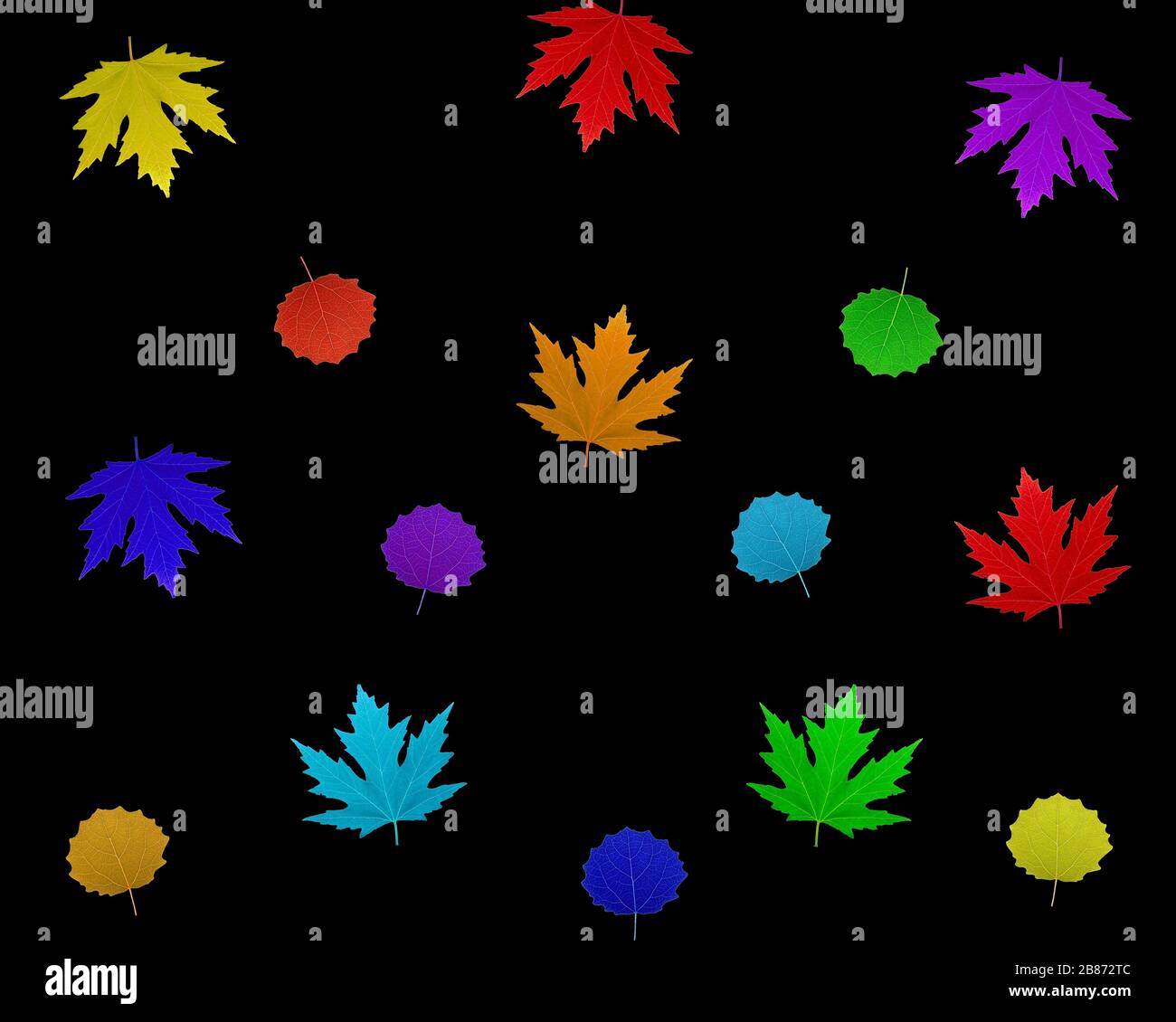 isolated leaves of rainbow colors 9 Stock Photo - Alamy