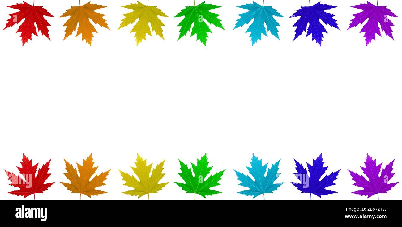 isolated leaves of rainbow colors12 Stock Photo - Alamy