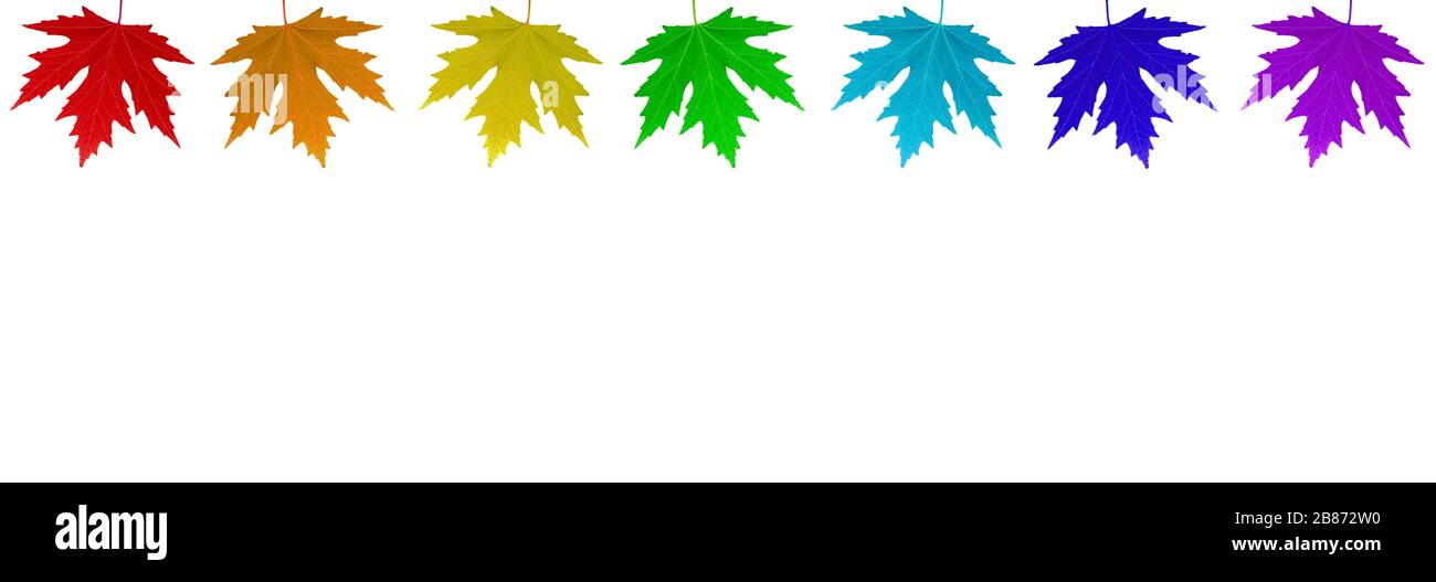 isolated leaves of rainbow colors13 Stock Photo - Alamy