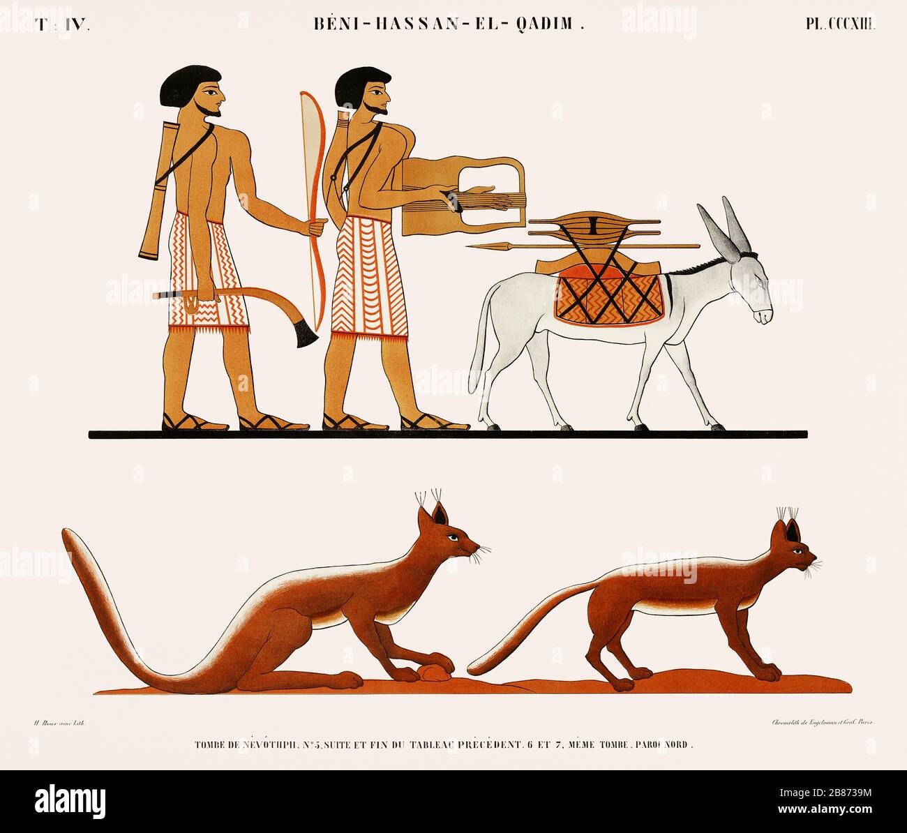 ancient, mummy, pharaoh, egypt, egyptian, history, africa, culture ...