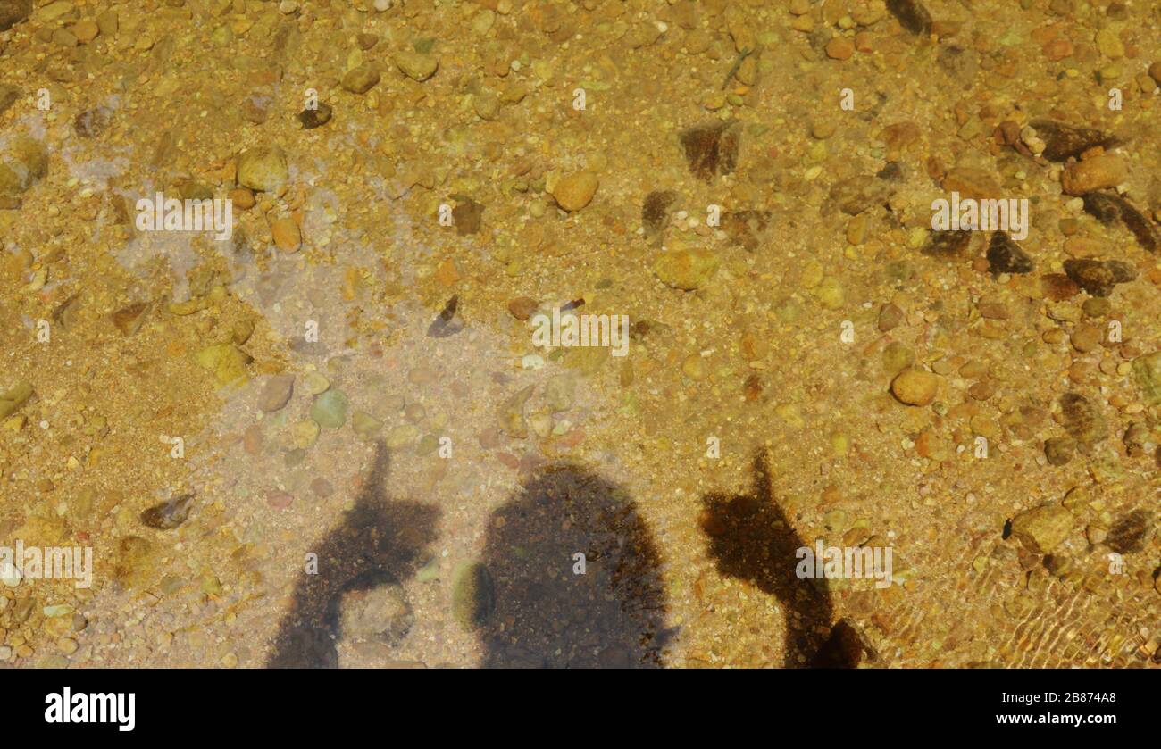human shadow lift hand and two thumb up in water Stock Photo - Alamy
