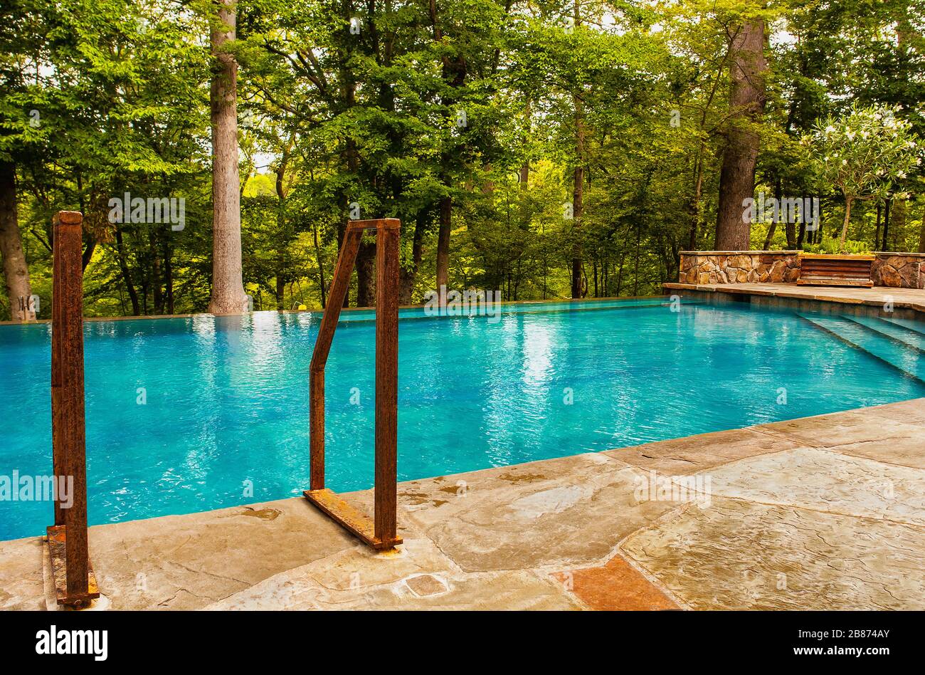 Sheared poodle on pool deck hi-res stock photography and images - Alamy