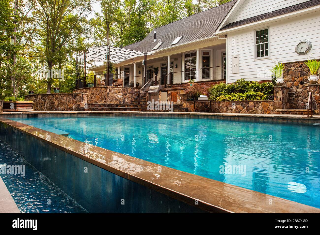 Sheared poodle on pool deck hi-res stock photography and images - Alamy