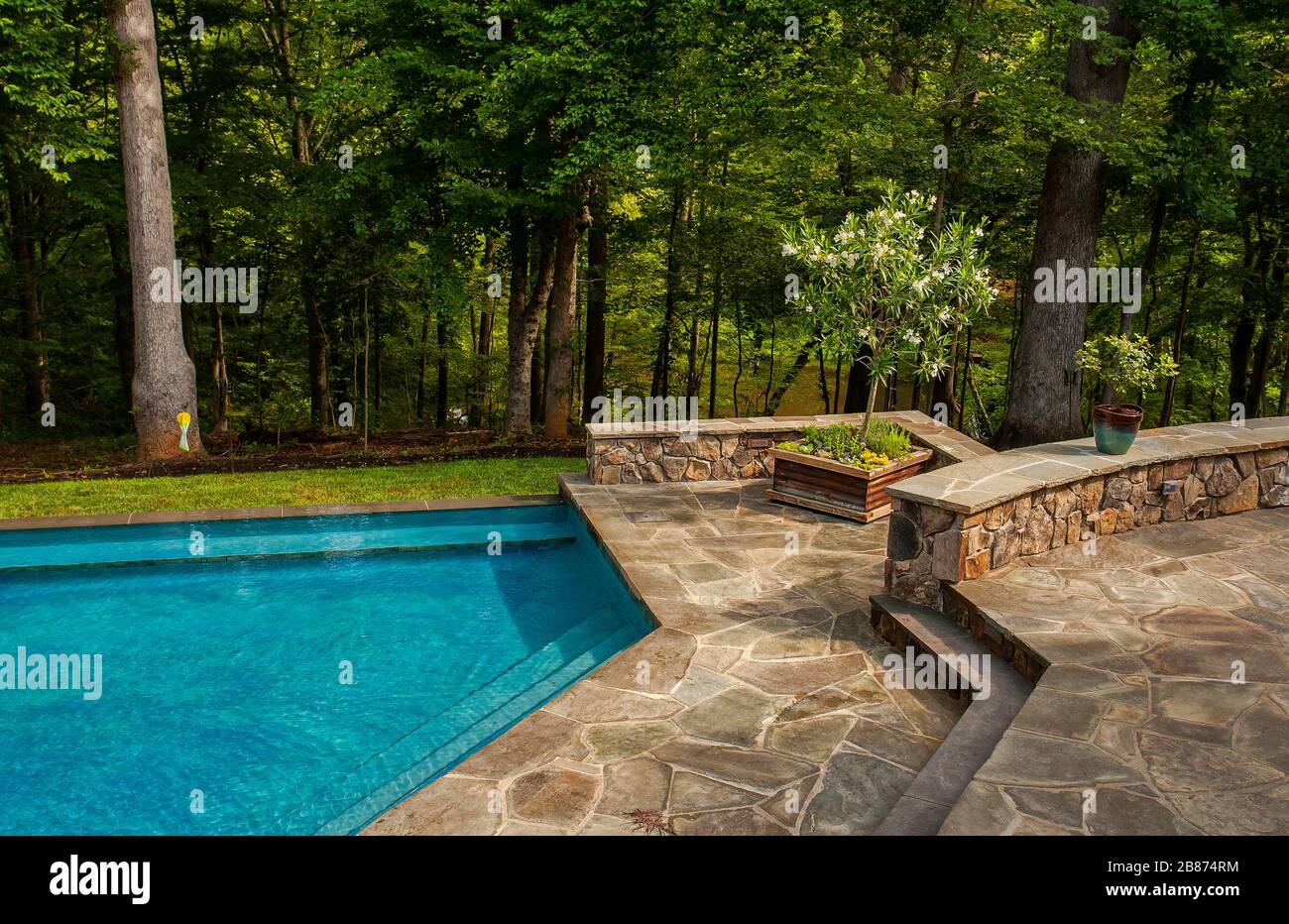 Sheared poodle on pool deck hi-res stock photography and images - Alamy