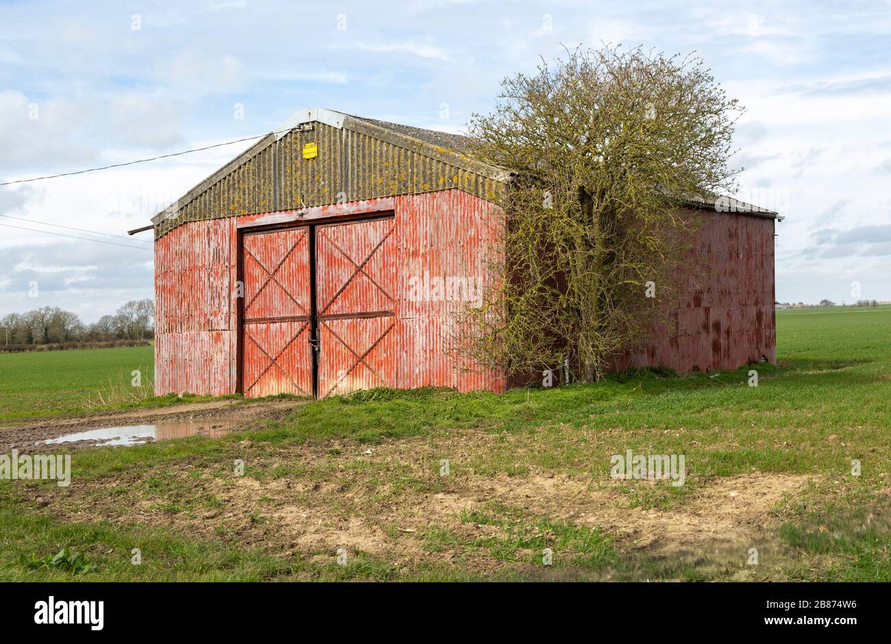 Corrugated iron with asbestos roof red peeling paint rural barn in ...