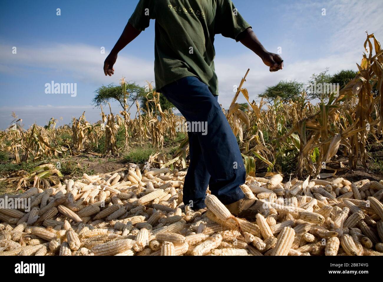 Farmer africa vegetables hi-res stock photography and images - Alamy