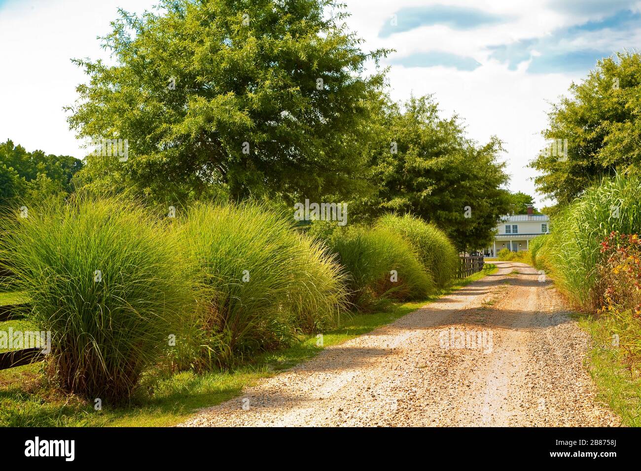 Farmhouse country road Stock Photo - Alamy