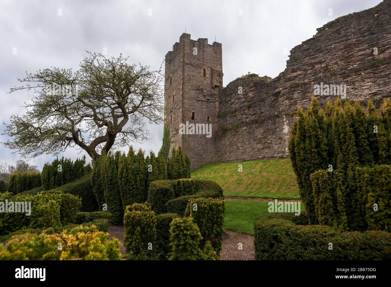 Topiary in the Cockpit Garden and Gold Hole Tower beyond, Richmond ...