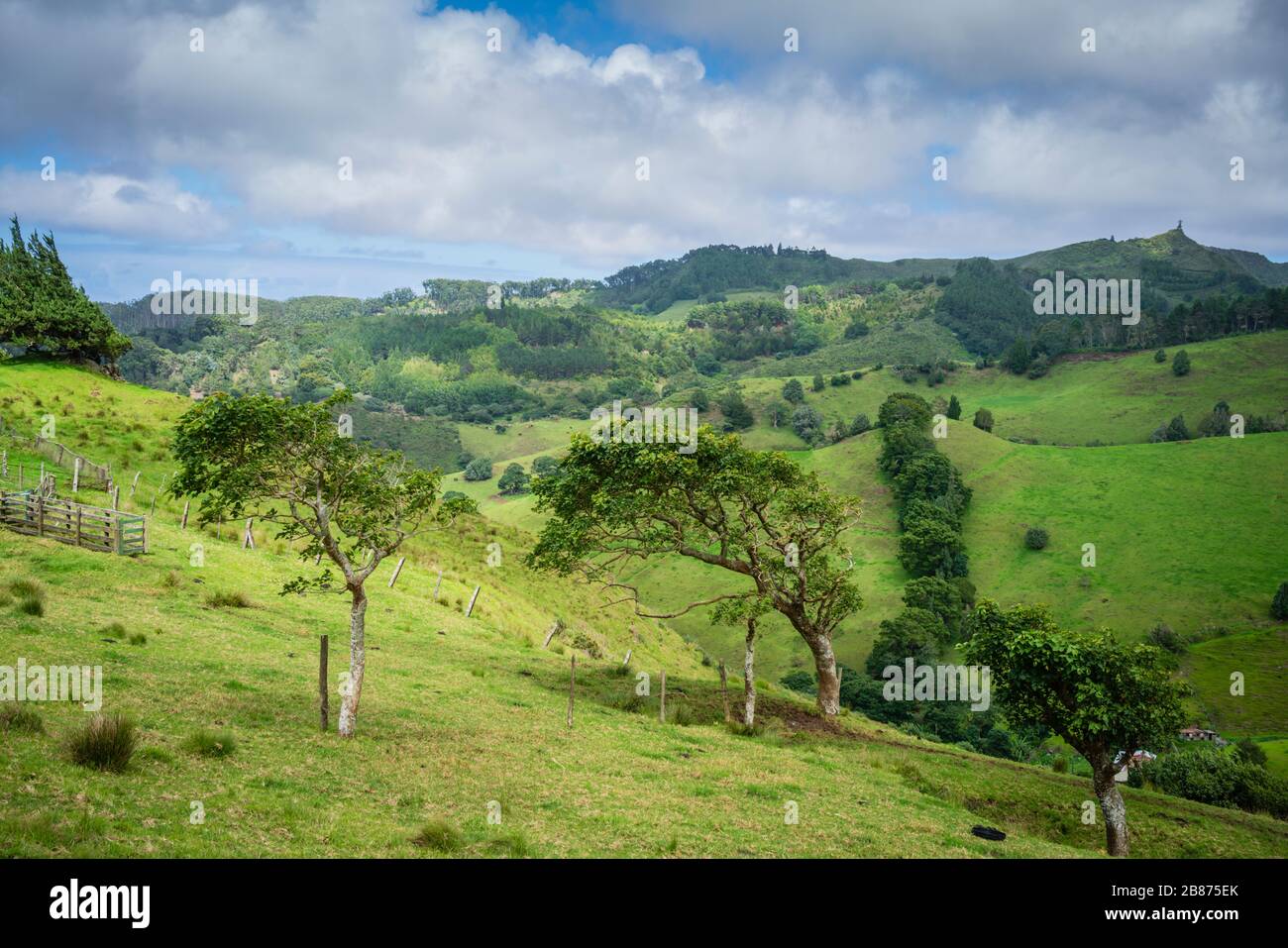 St helena island hi-res stock photography and images - Alamy