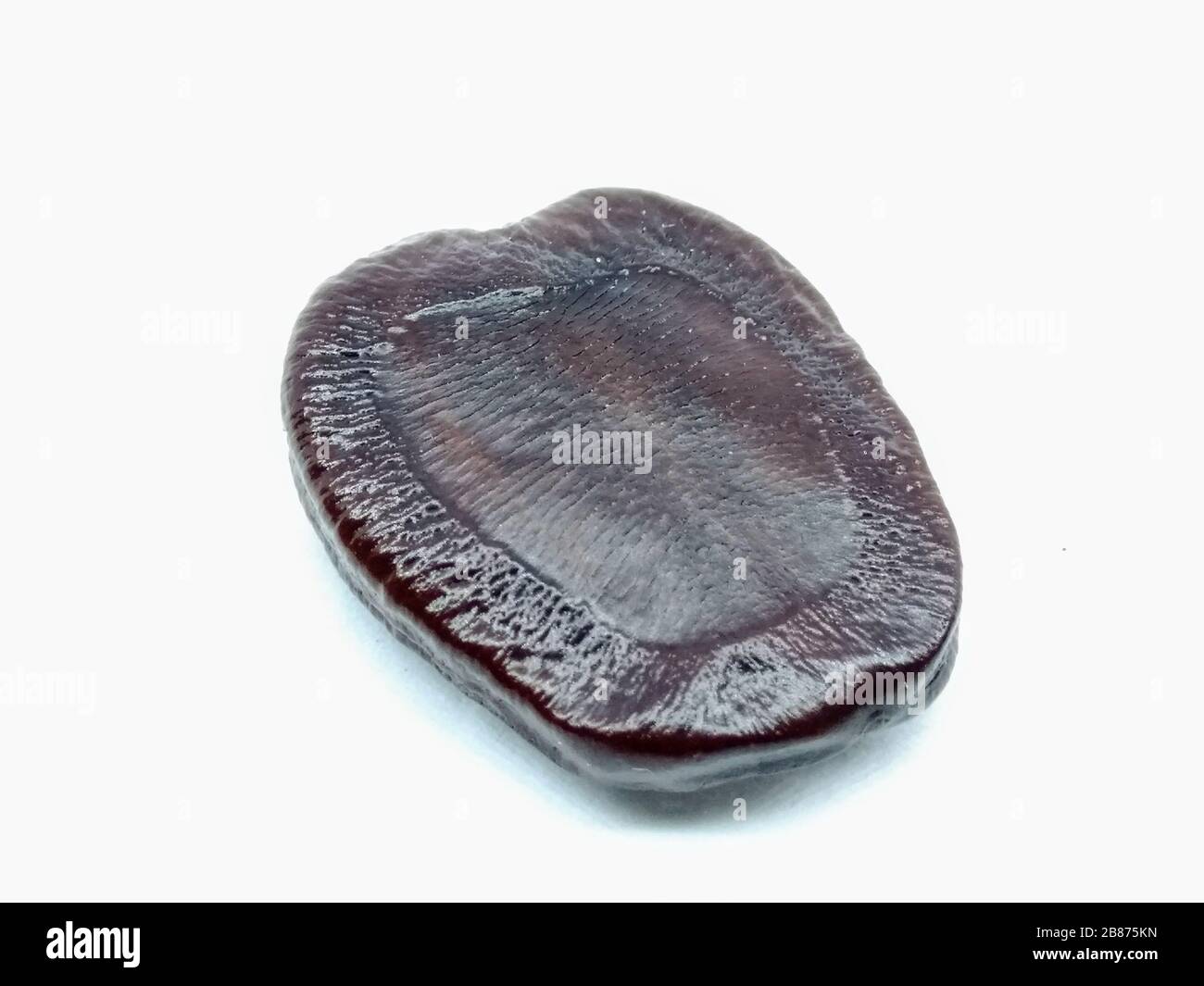 Tamarind seeds hi-res stock photography and images - Alamy