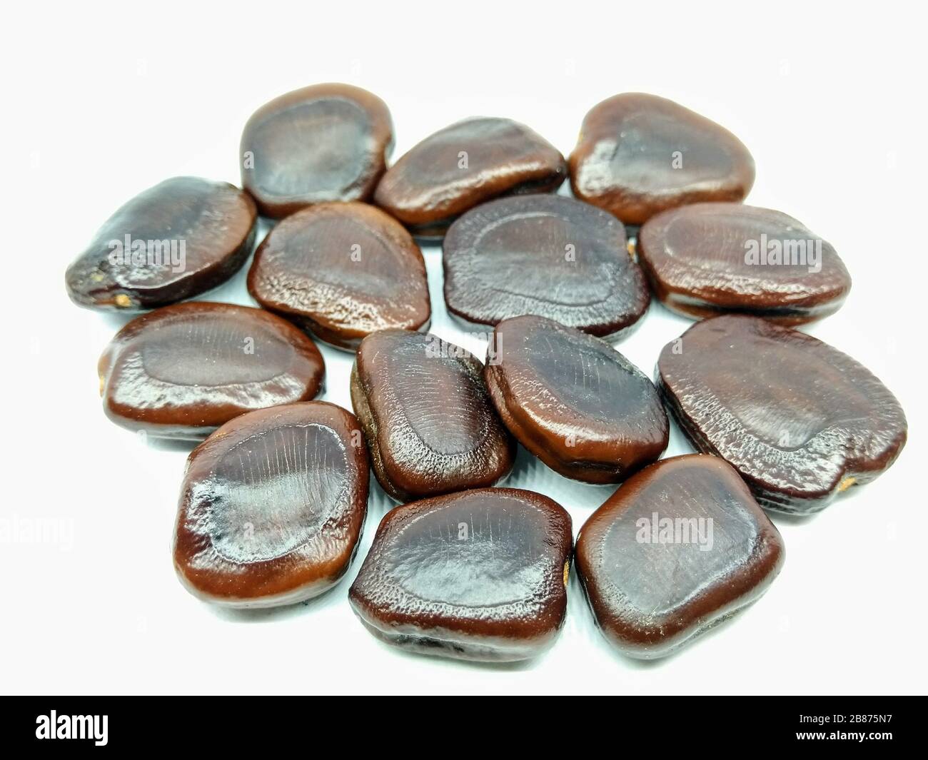 A picture of tamarind seeds Stock Photo - Alamy