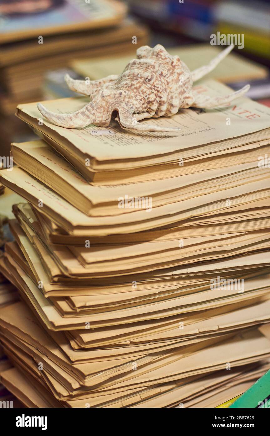 Sea shell on books stack Stock Photo - Alamy