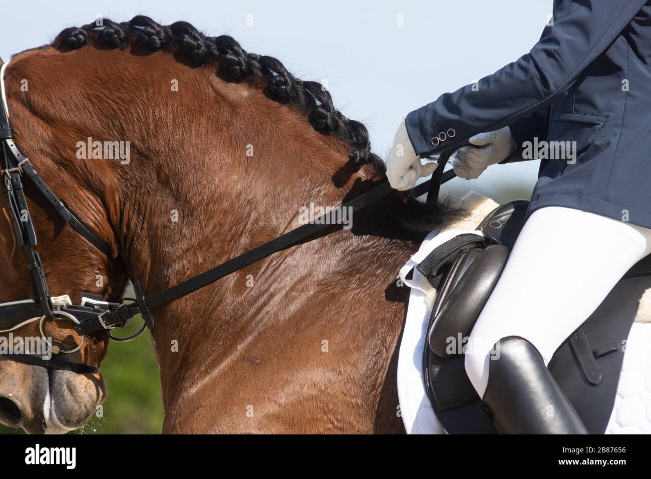 Braided outdoor hi-res stock photography and images - Alamy