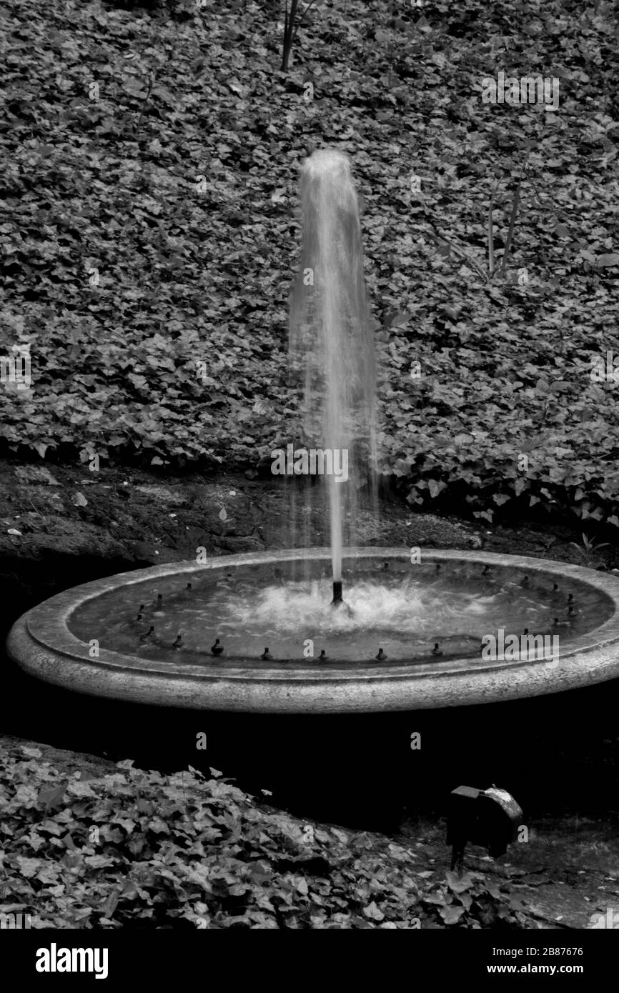 Fountain spewing water hi-res stock photography and images - Alamy