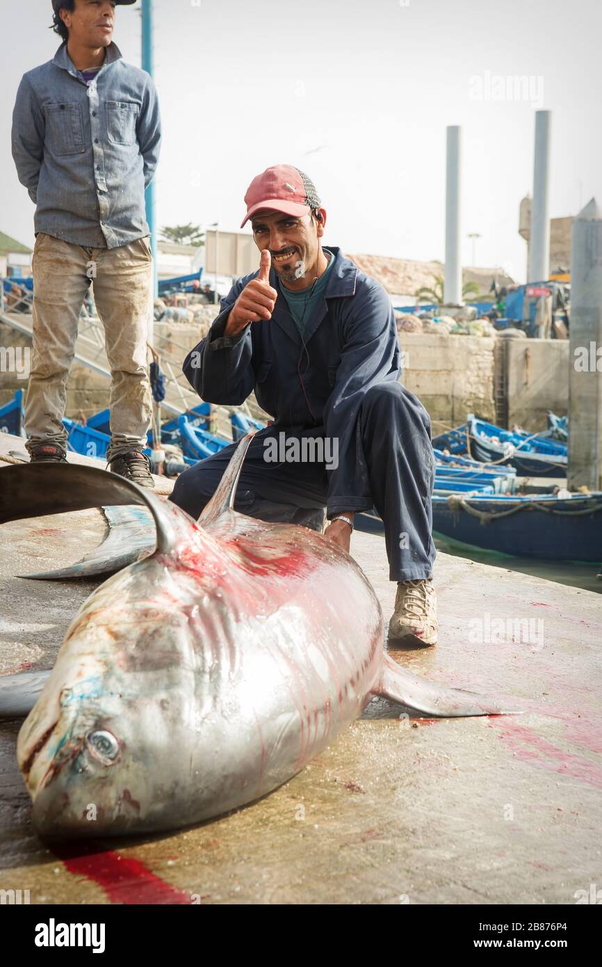 Morocco shark sharks fishing hi-res stock photography and images - Alamy