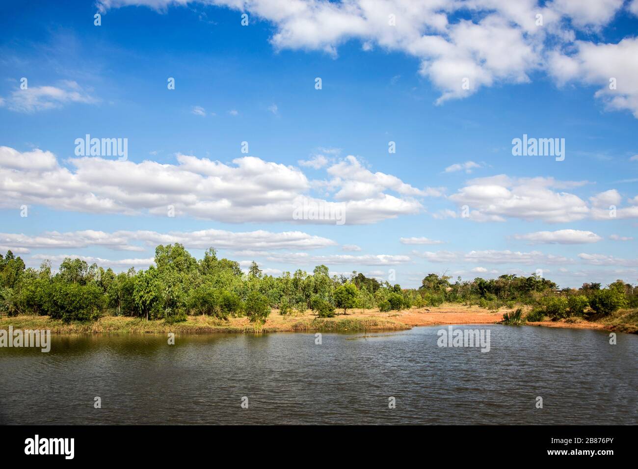landscape peaceful pond on summer season in beautiful nature Stock ...