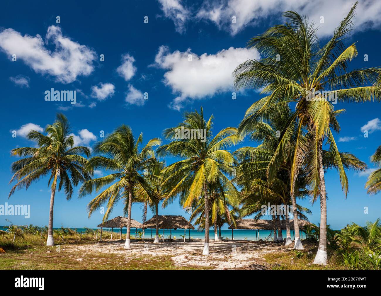 Palm trees palapa on beach hi-res stock photography and images - Alamy