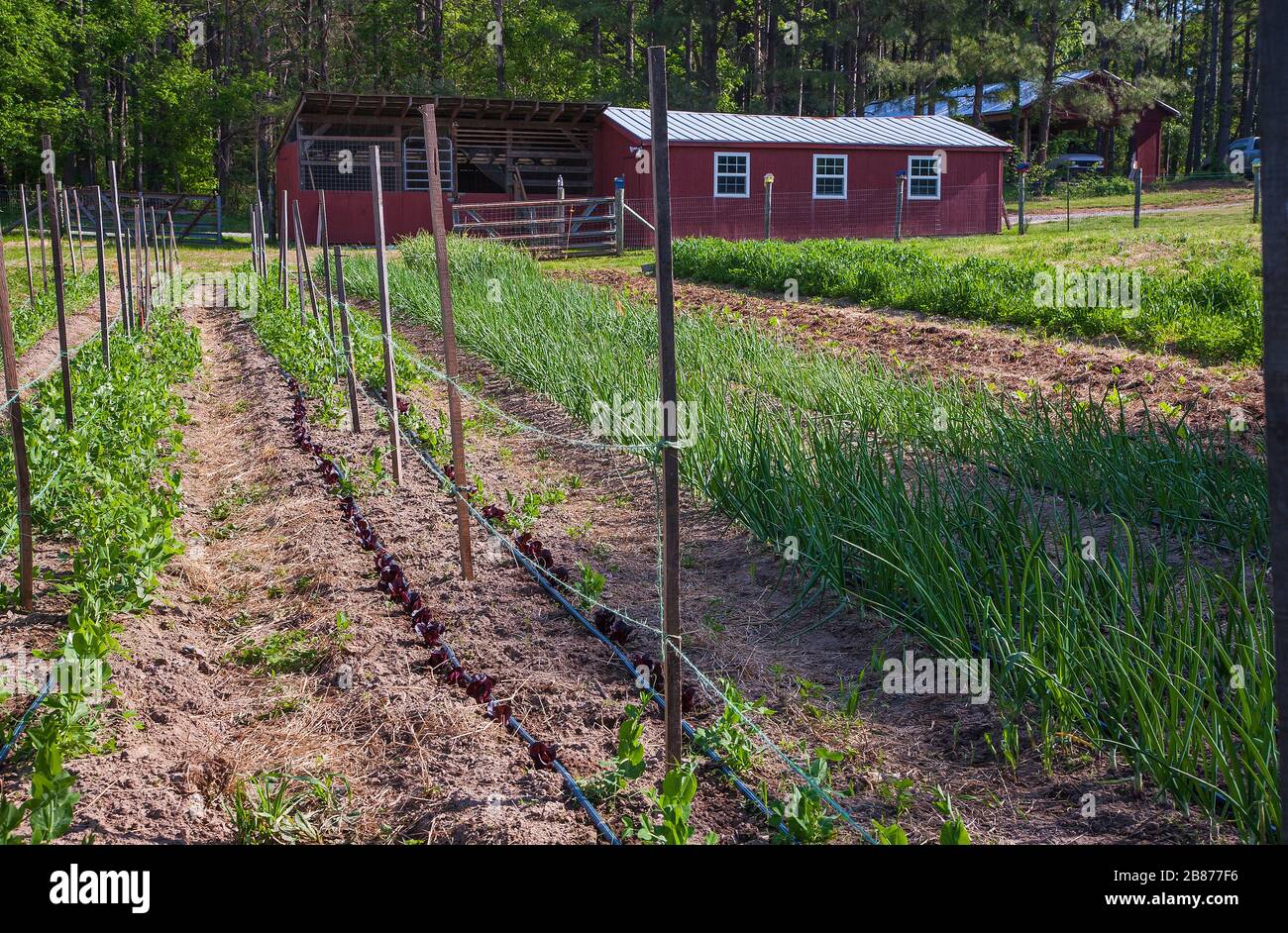 Farm family hi-res stock photography and images - Alamy