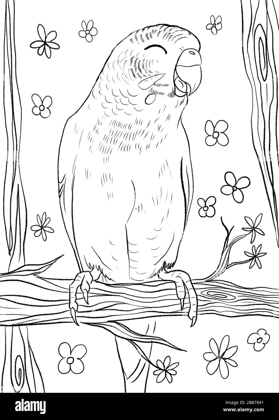 Cage parrot bird line Cut Out Stock Images & Pictures - Alamy