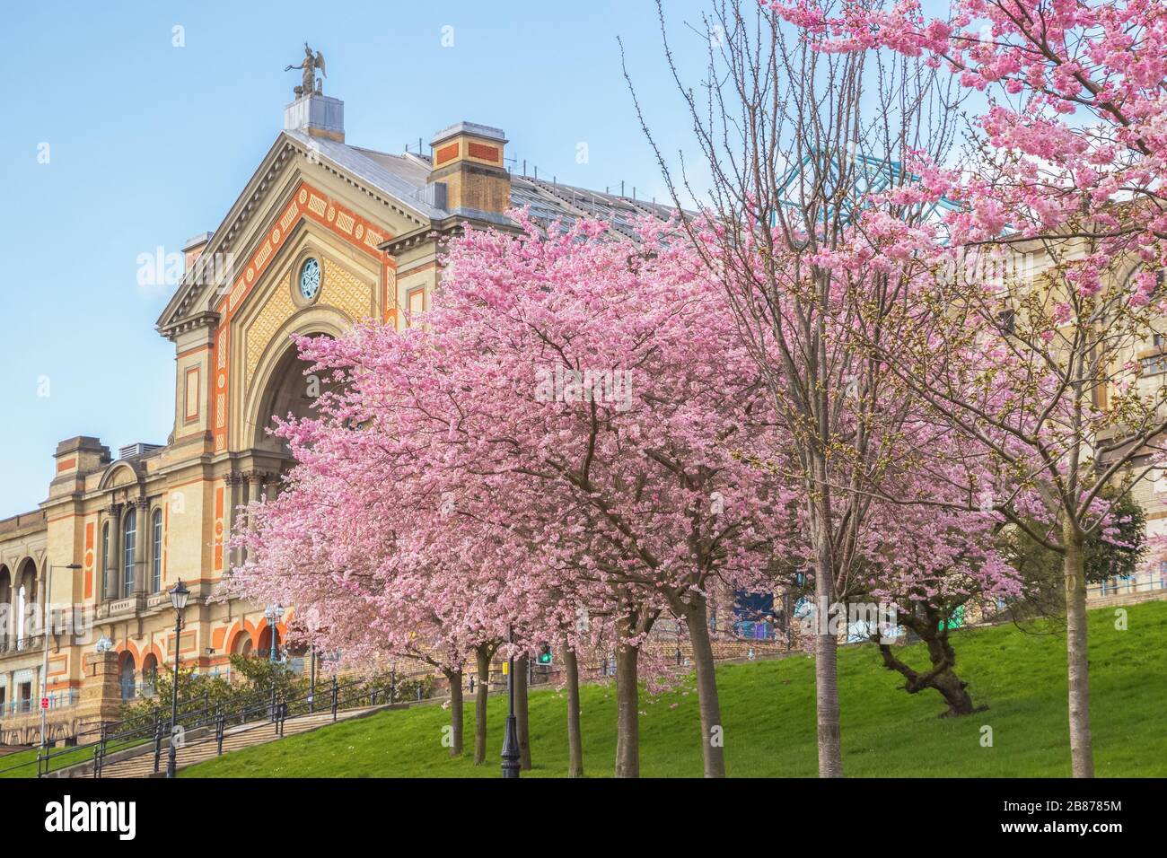 Springtime, Alexandra Palace with cherry blossoms in London, England ...