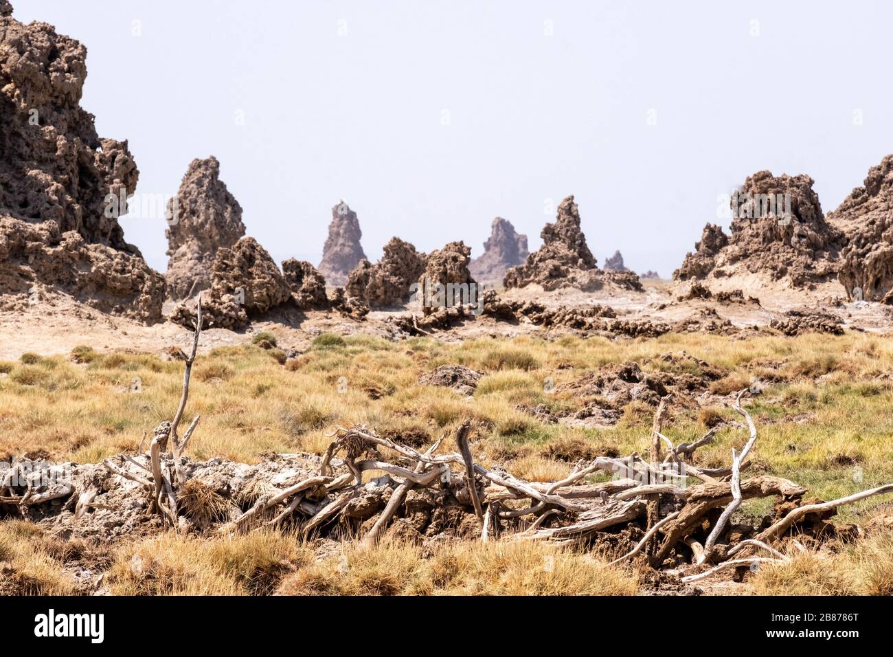 Africa, Djibouti, Lake Abbe. Moonlike landscape view of rock formation ...