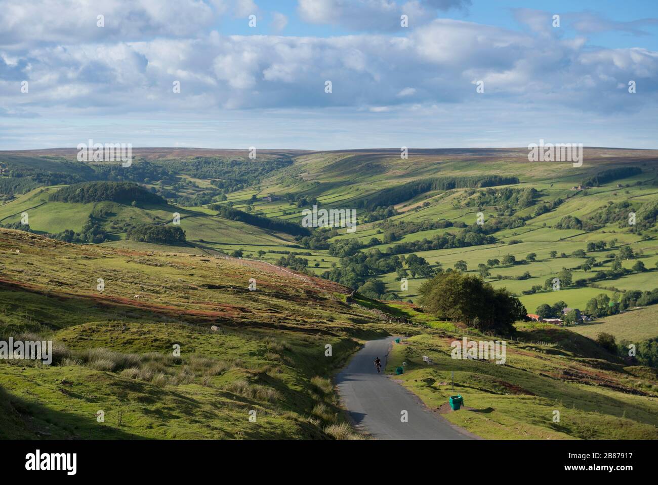 Summer view of the attractive meadows and moors of Rosedale in the ...