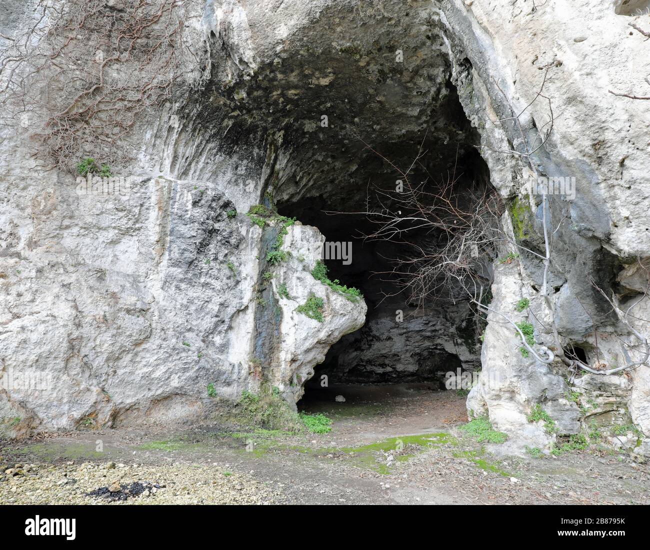 large opening of the cave inhabited by primitive men in prehistoric ...